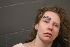 Camden County, MO Arrests | Public Jail Records